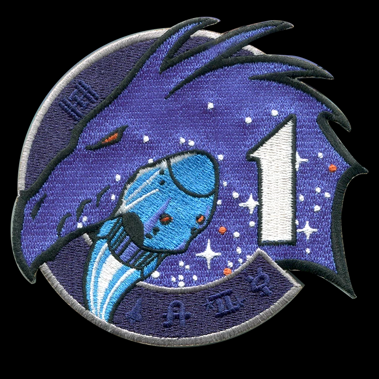 SpaceX Crew-1 - Original Raumfahrt Embleme und Aufnäher